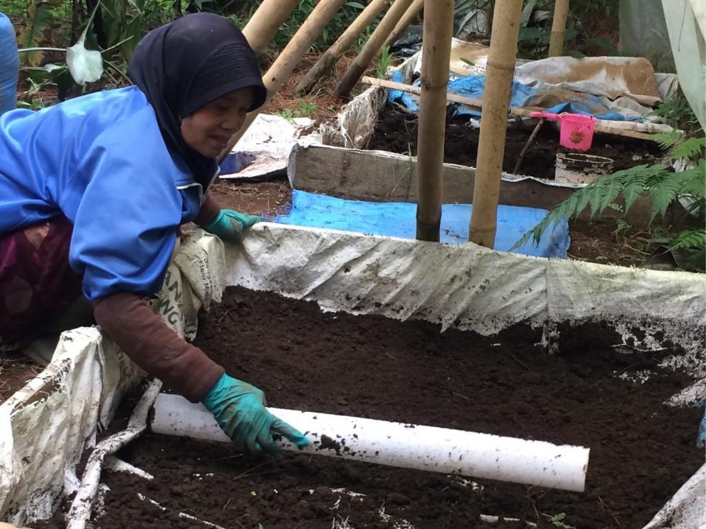 Mengenal Vermikompos, Prosesnya, dan Manfaatnya – Walungan